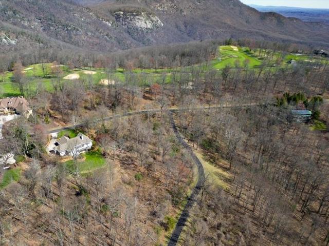 68 May Apple Way, Landrum, SC 29356