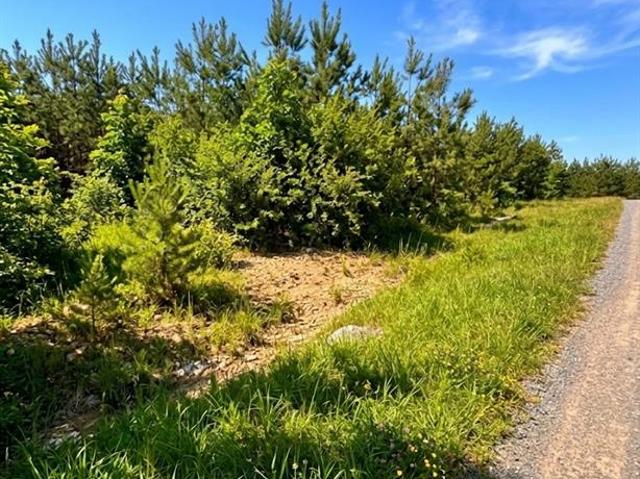 68 Southern Spruce Trail