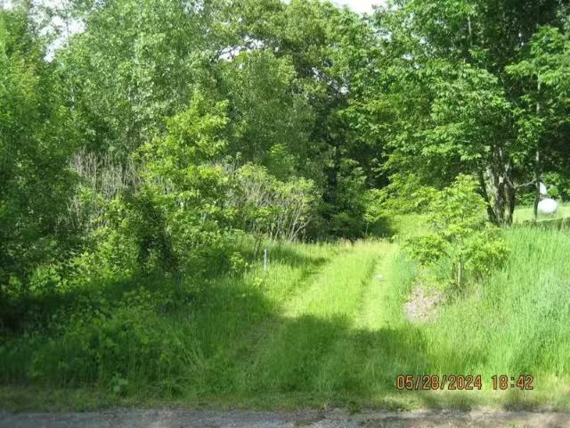 6900 ACKERS POINT DR, DELTON, MI 49046 Vacant Land For Sale M.