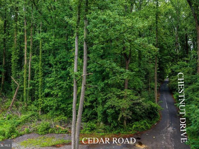 6901 Cedar Road