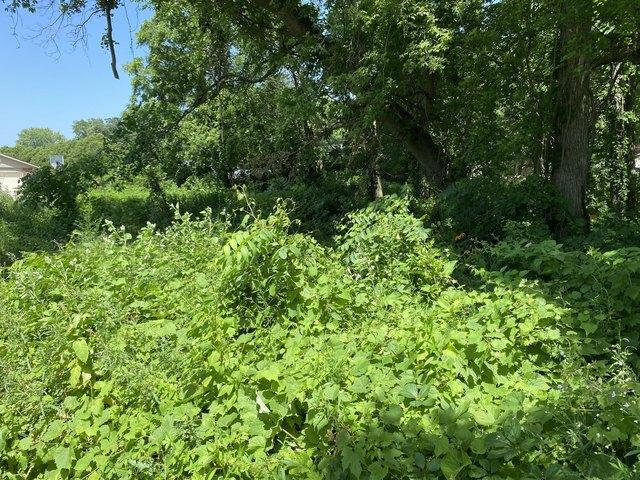 69025 Island Dr, Edwardsburg, MI 49112