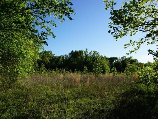 6902 Stella St, Murchison, TX 75778