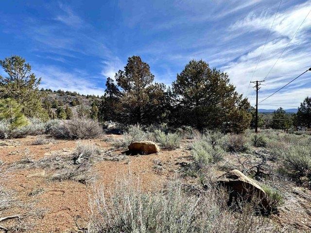 690 010 Lake Side Dr, Adin, CA 96130