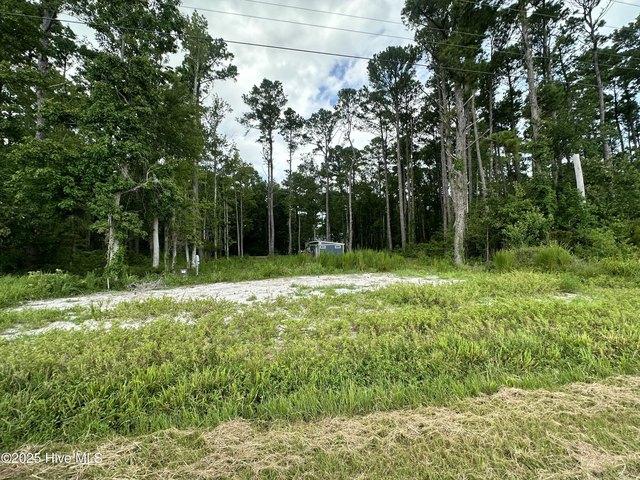 690 Oriental Rd Lots 1 & 2, Oriental, NC 28571