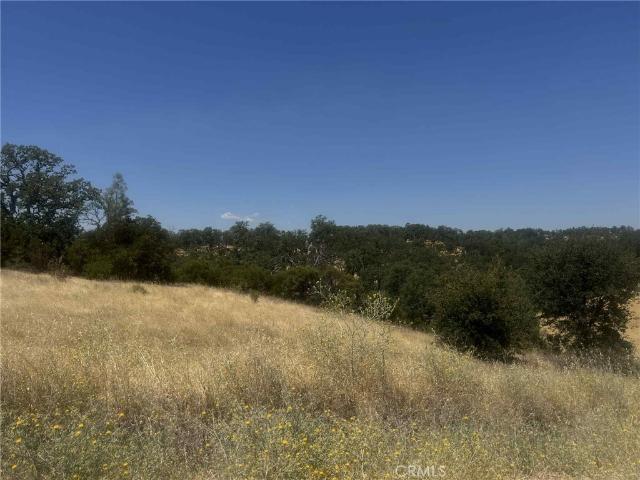6915 Remunda Road