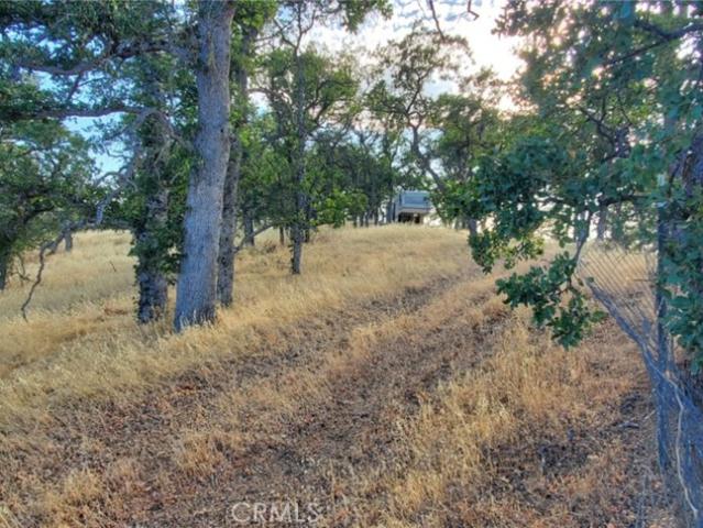 6915 Remunda Rd, Corning, CA 96021 | MLS #SN25165