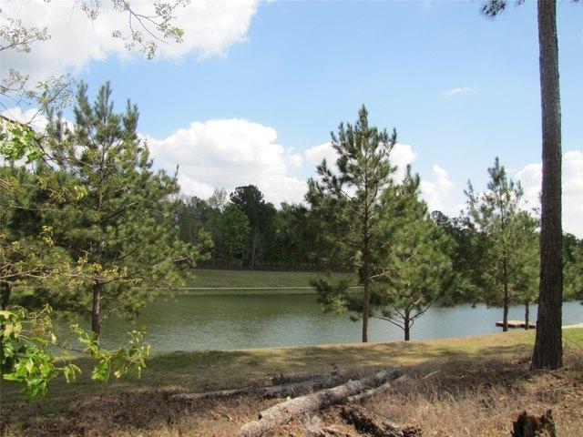 6919 Texas Trce, Montgomery, TX 77316