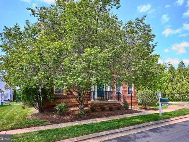 6910 Bitterroot Court