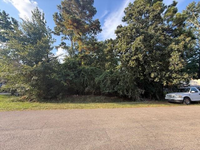 6910 Woodland Oaks, Magnolia, TX 77354 | MLS #61576 | Compass