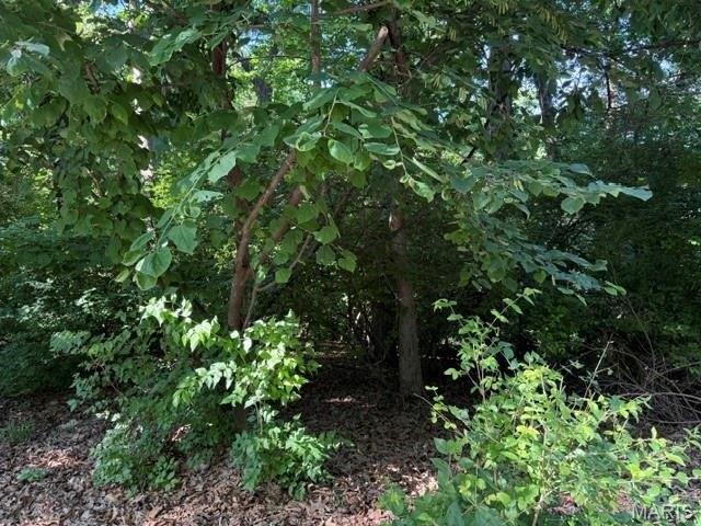 691 Arcola Dr, Ballwin, MO 63021