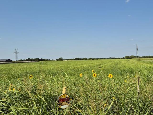 691 Farmer Rd, Ennis, TX 75119 | MLS #21314