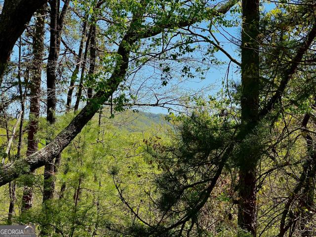 691 Railey Ridge, Ranger, GA 30734 | MLS #10511