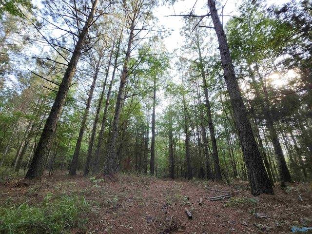 6926 County Road 29, Piedmont, AL 36272