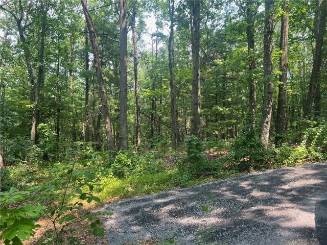 6927 Chaneysville Rd