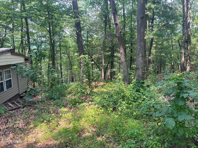 6927 Chaneysville Rd, Clearville, PA 15535