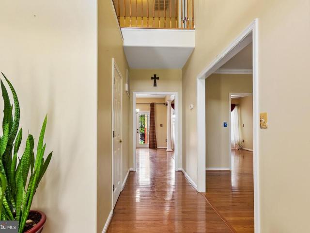 6929 Elon Drive