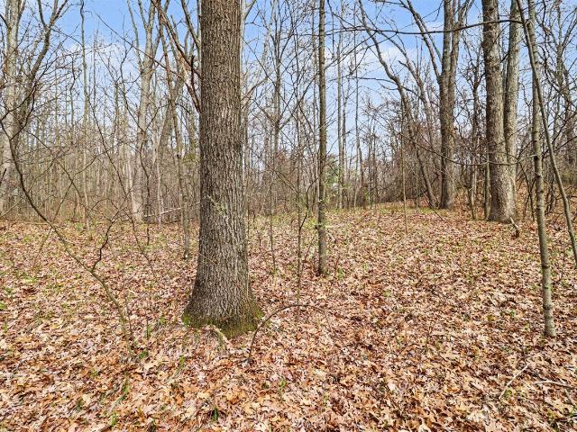 6920 19 Mile Road