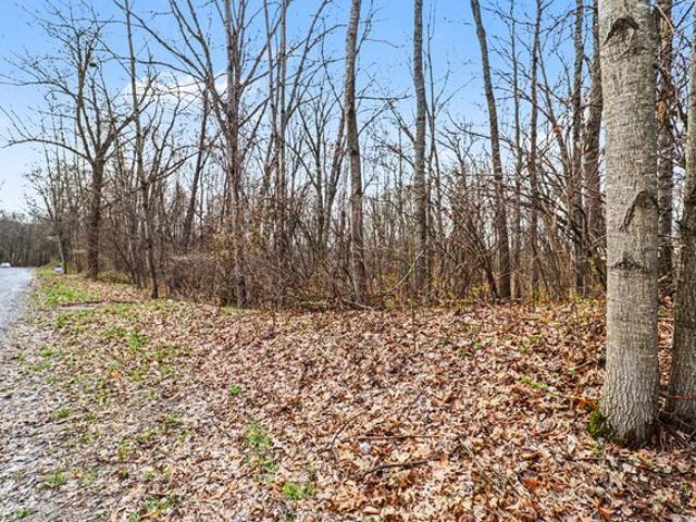 6920 19 Mile Rd NE, Cedar Springs, MI 49319