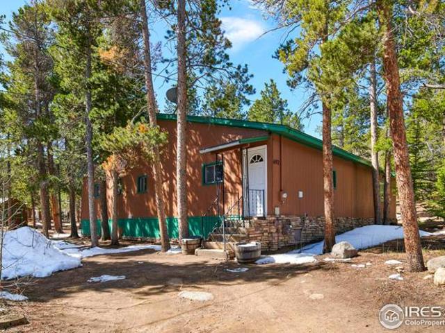 692 W Pine St, Nederland, CO 80466