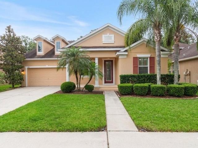 6936 Rocky Canyon Way, Tampa, FL 33625