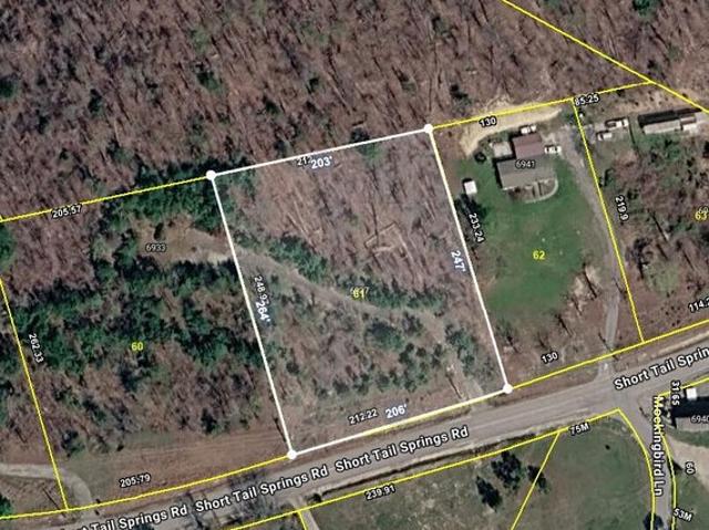 6937 6 Short Tail Springs Rd, Harrison, TN 37341