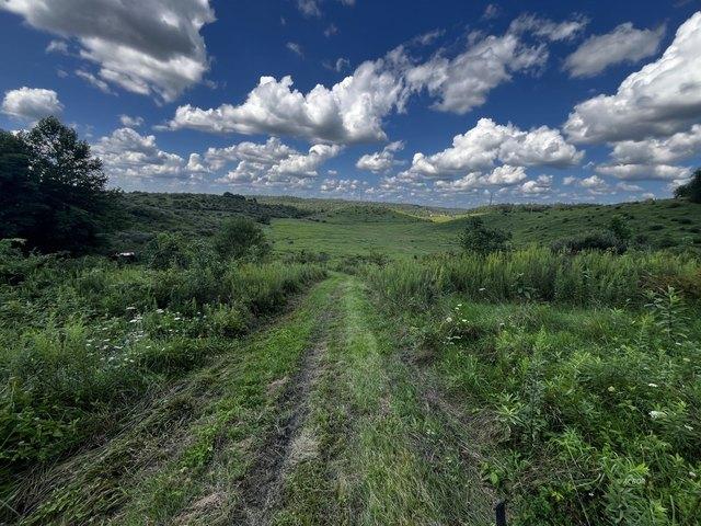 69310 Prattsville Rd, McArthur, OH 45651