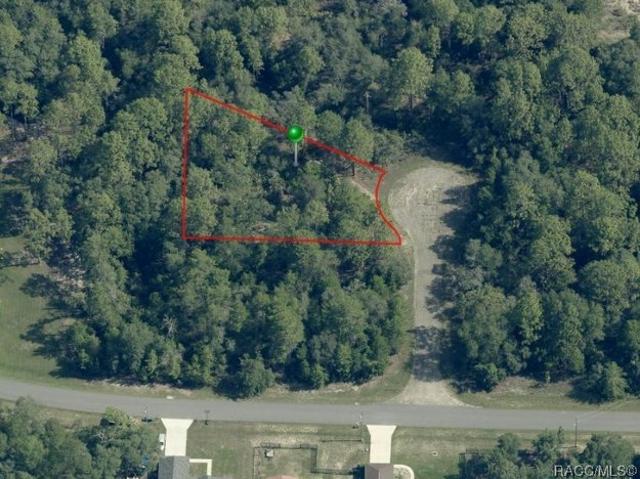 6932 N Steward Pt, Citrus Springs, FL 34434