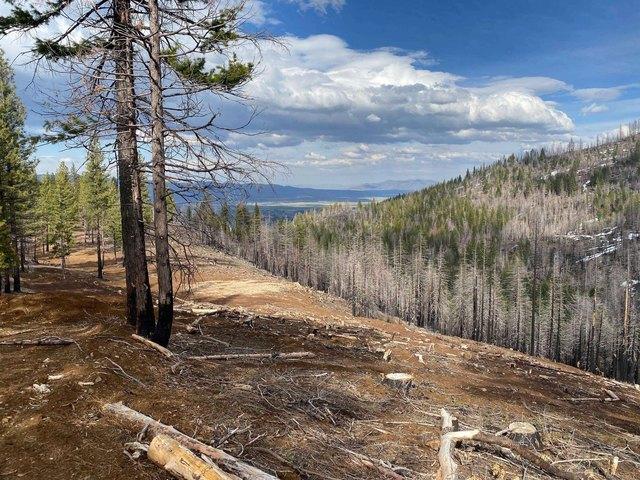 693 605 Gold Run Rd, Susanville, CA 96130