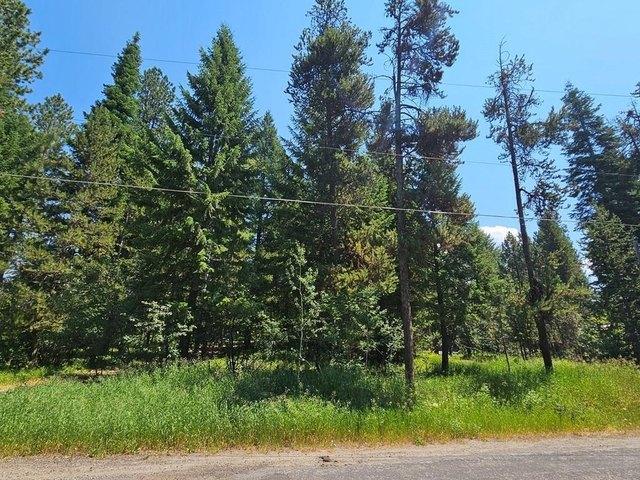 693 N Samson Trl Lot 10, McCall, ID 83638