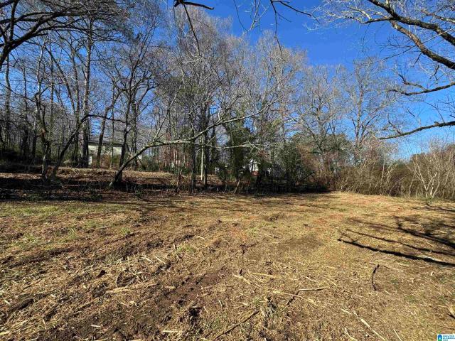 6944 Old Springville Road # 1