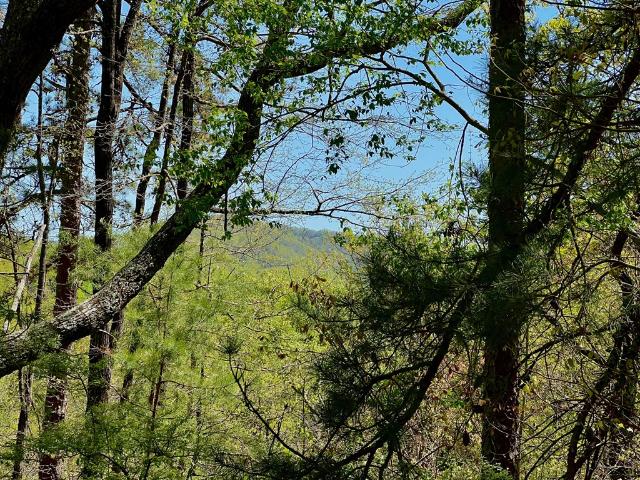 694 Railey Ridge, Ranger, GA 30734 | MLS #415251 | Compass