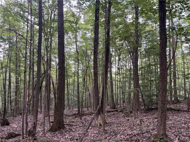6950 Conesus Springwater Road