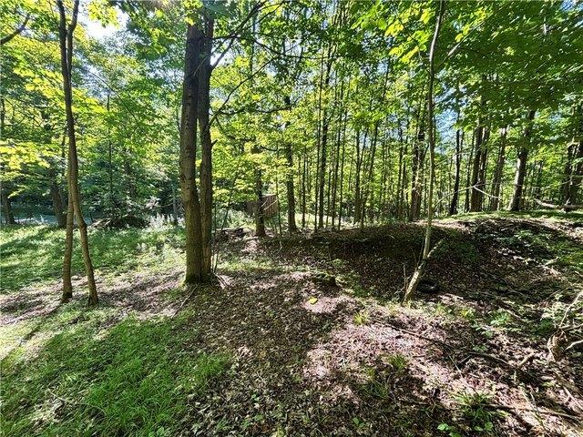 6952 Canadice Hill Rd, Springwater, NY 14560