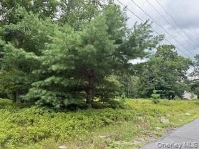 695 Big Pond Rd, Huguenot, NY 12746