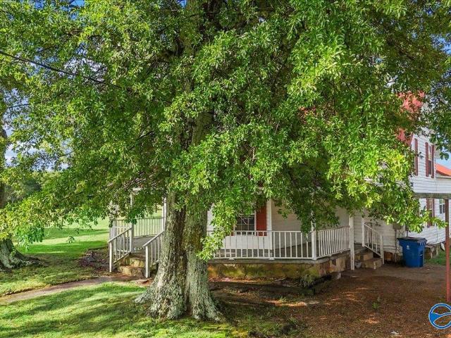 695 Bright Star Road