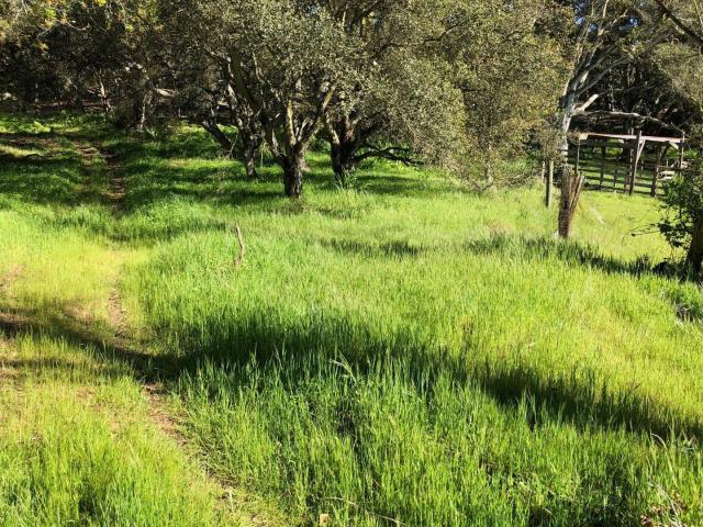 6967 Valle Pacifico Rd, Salinas, CA 93907 | MLS #ML82019