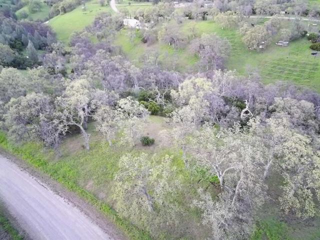6962 Roundup Drive