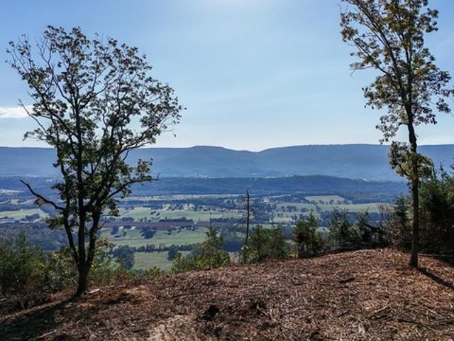 696 Windridge Dr, Dunlap, TN 37327