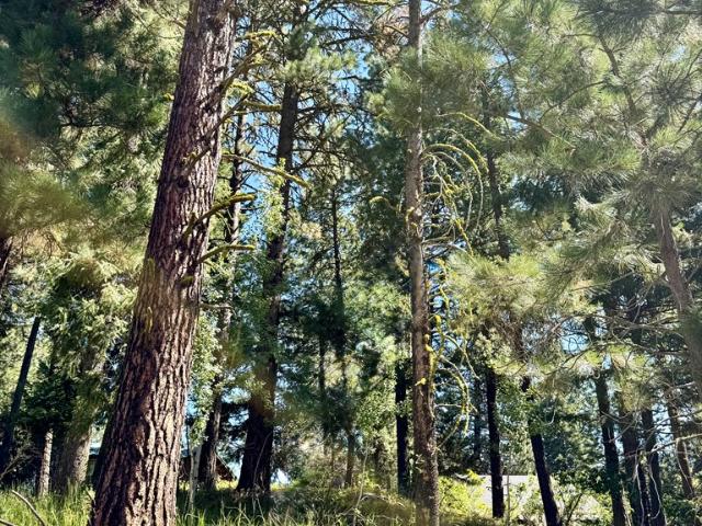 697 N Samson Trail, Unit 7, McCall, ID 83638 | MLS #543418 | Compass