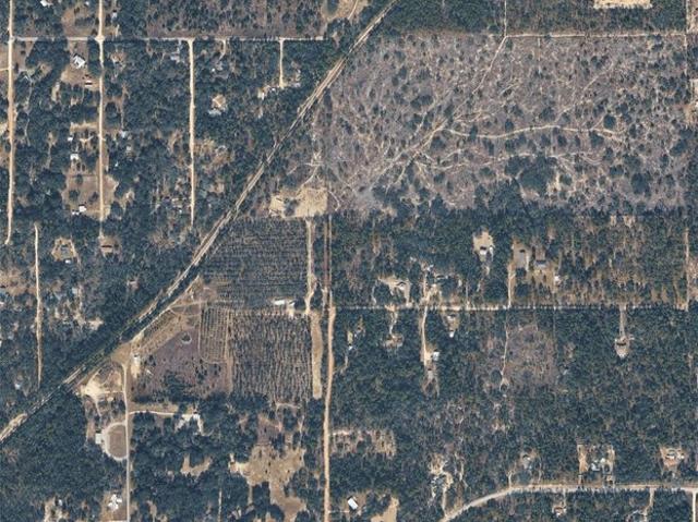 6989 W Redmond Ct, Dunnellon, FL 34433