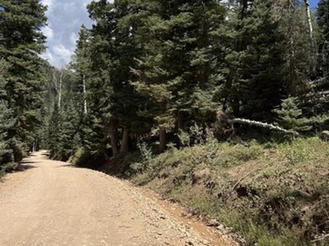 6980 W Kodiak Dr Unit 11, Duck Creek, UT 84762