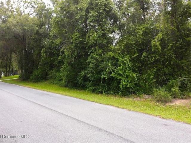 6982 N Palmer Way, Hernando, FL 34442