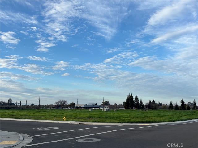 698 Hambright corner Hwy 32 Ave, Orland, CA 95963 | MLS #SN25151