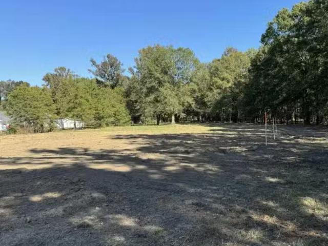 6998 LOU GEORGE LOOP # 3, BESSEMER, AL 35022 Vacant Land For S.