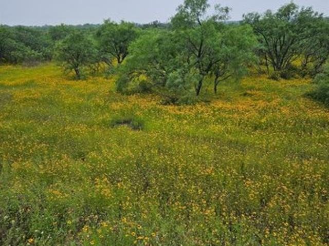 6990 County Road 246, Richland Springs, TX 76871