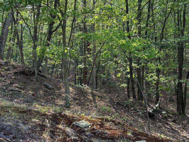 699 Chickloon Ln, Great Cacapon, WV 25422 | MLS #WVMO2004