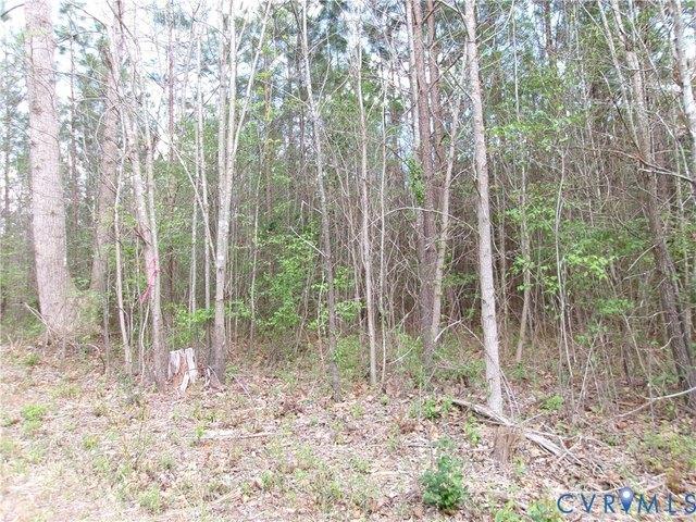 69 6 3 Lew Jones Rd, Dewitt, VA 23840