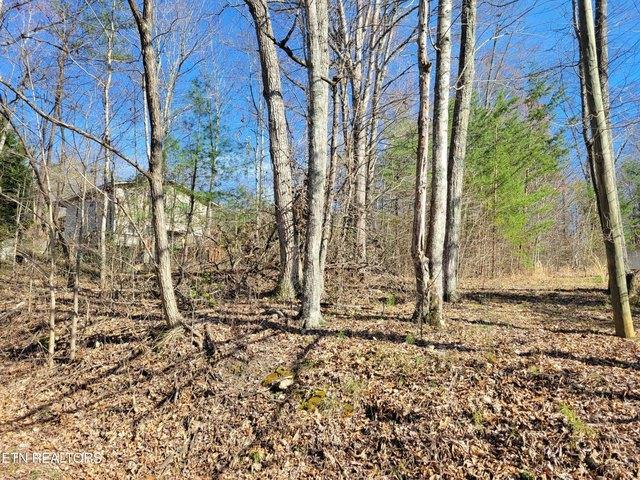 69 Alpine Dr, Sevierville, TN 37876