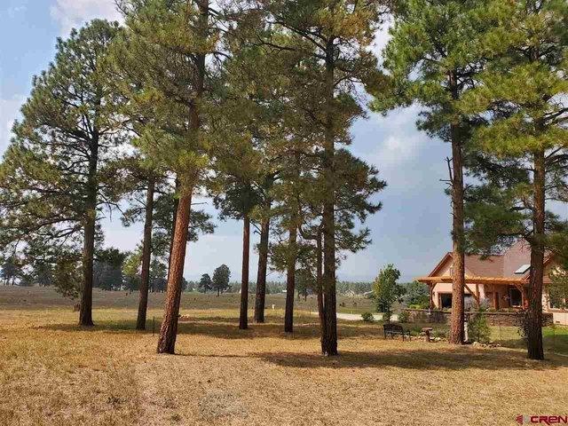 69 Capstone Cir, Pagosa Springs, CO 81147