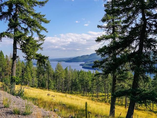 69 Eagle Creek Trl, Whitefish, MT 59937